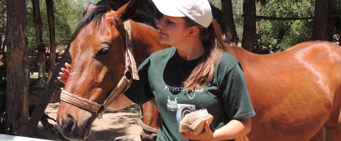 Working with Animals | Animal Welfare Policy | Projects Abroad